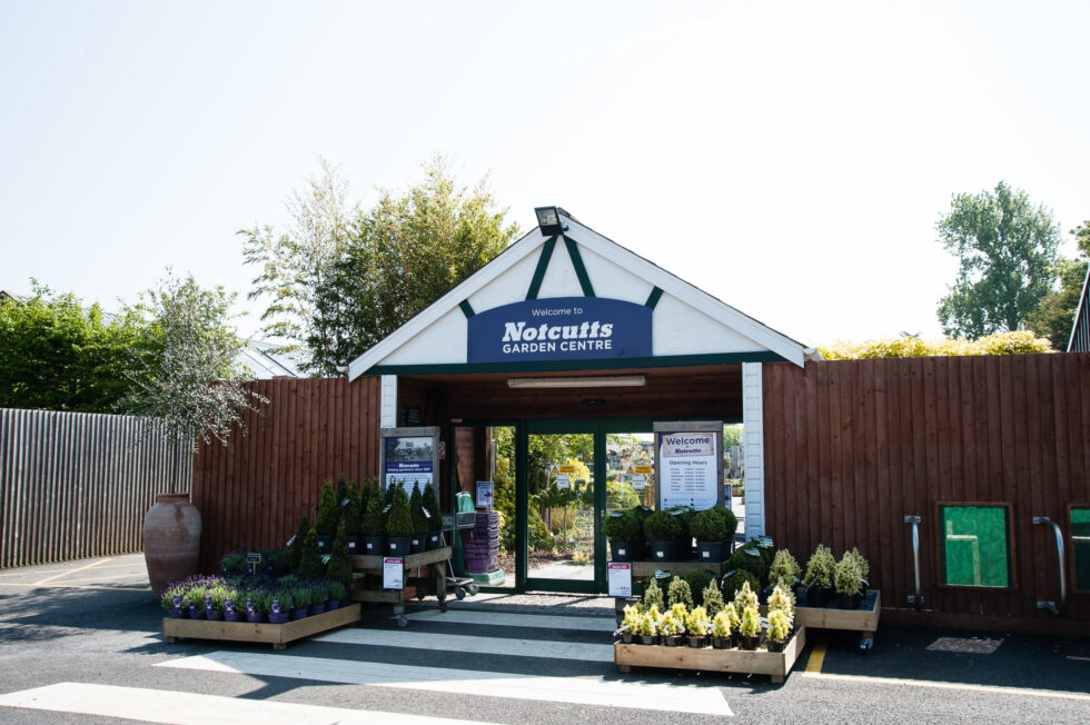 Notcutts celebrates one million donations through Pennies | Pennies